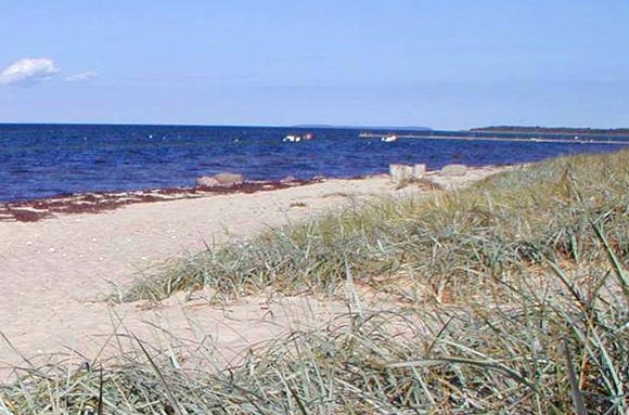 Ferienhäuser Skastrup Strand → Ferienhaus am Skastrup Strand mieten