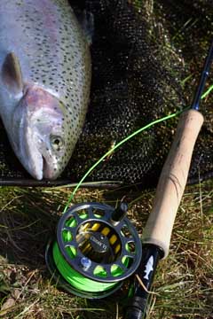 Angelurlaub in Blavand: Tipps zum Angeln